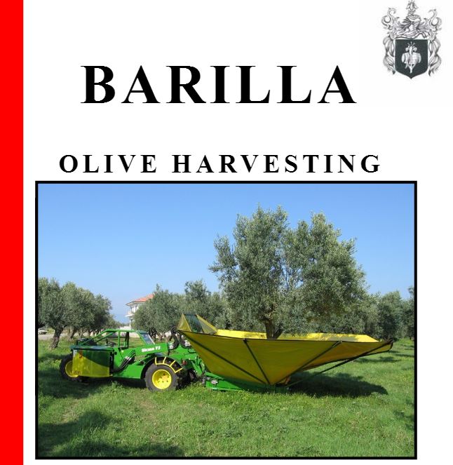 How to Prune for Mechanical Olive Shaker Harvesting? – Amanda Bailey on ...