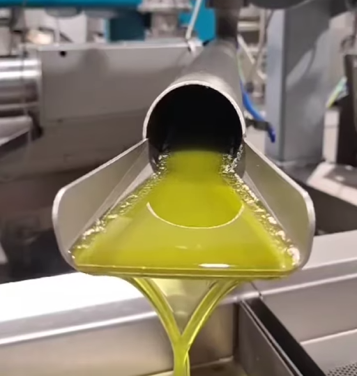 Solutions for Entry-Level Olive Oil Extraction: How to Get Started ...